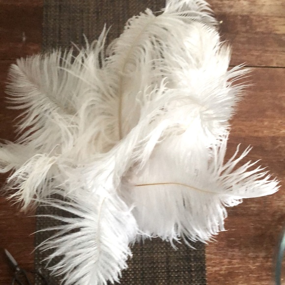 Other | Feathers Bundle | Poshmark